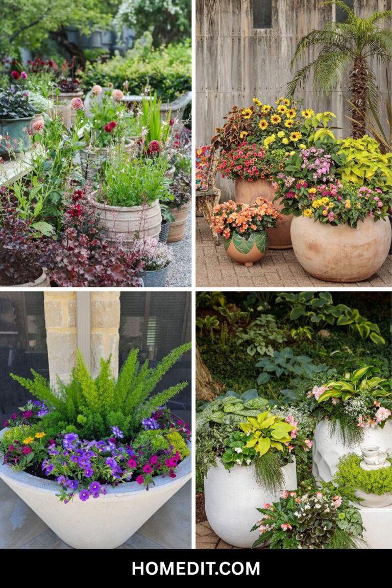 18 Container Garden Ideas for 2026 Where Planters Become the Structure ...